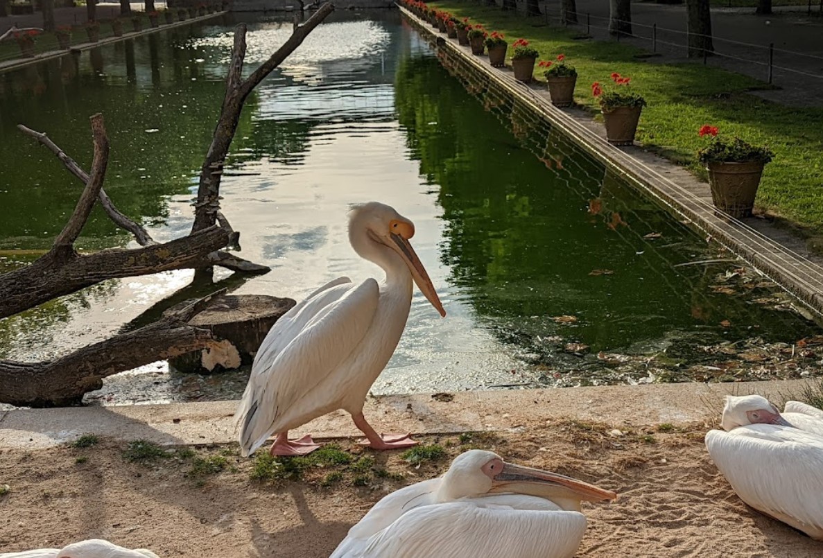 Ein Besuch in der Wilhelma: Der zoologisch-botanische Garten in ...